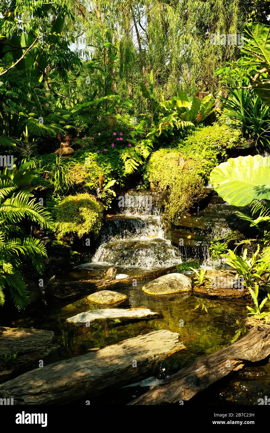 Waterfall among green trees hi-res stock photography and images - Alamy