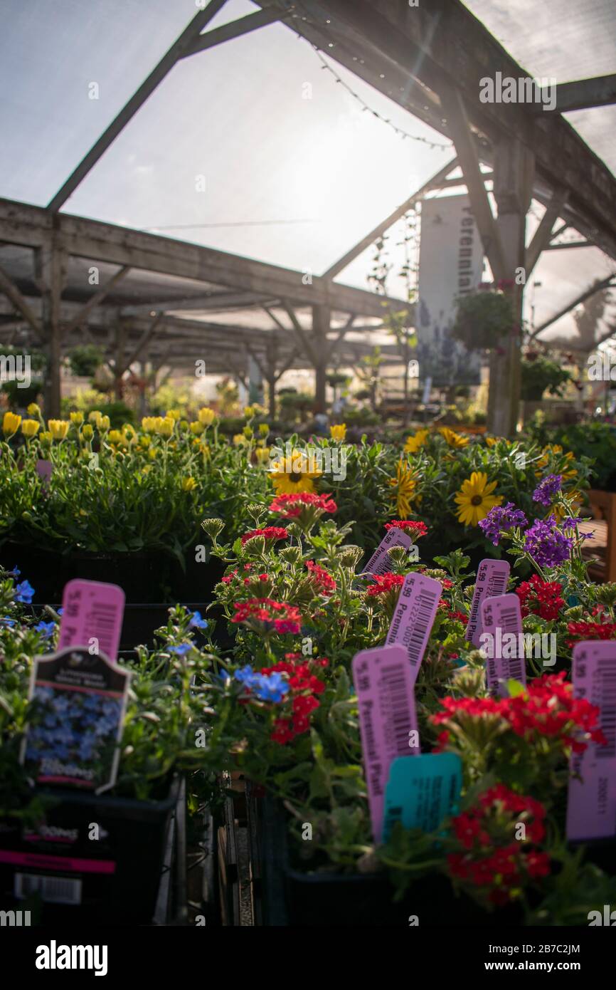 The Sloat Garden Center is a nursery chain which sells many different ...