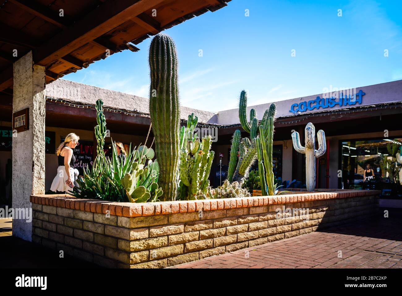The Cactus Hut, A desert plant and gift store entrance greets shoppers ...