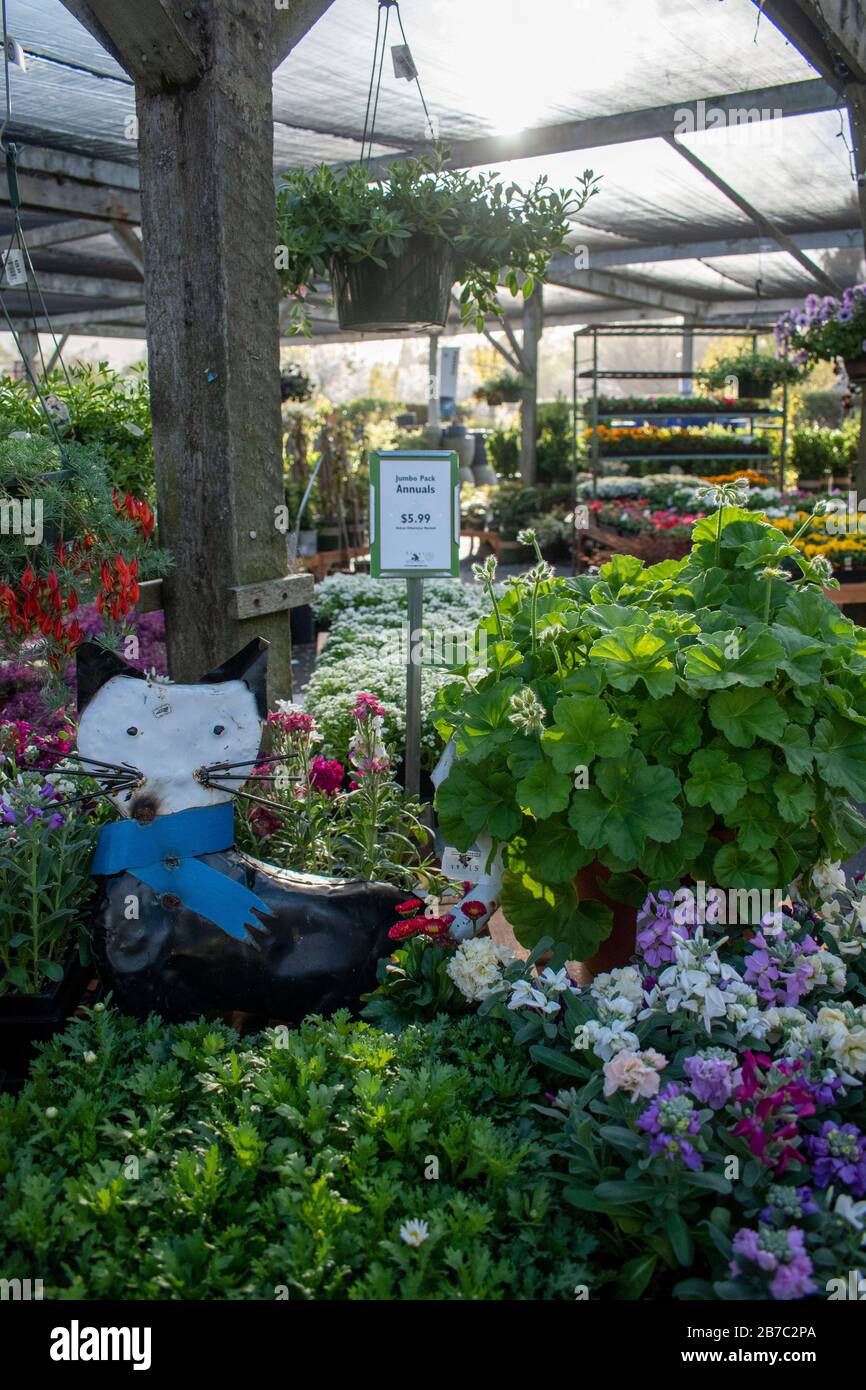 The Sloat Garden Center is a nursery chain which sells many different ...
