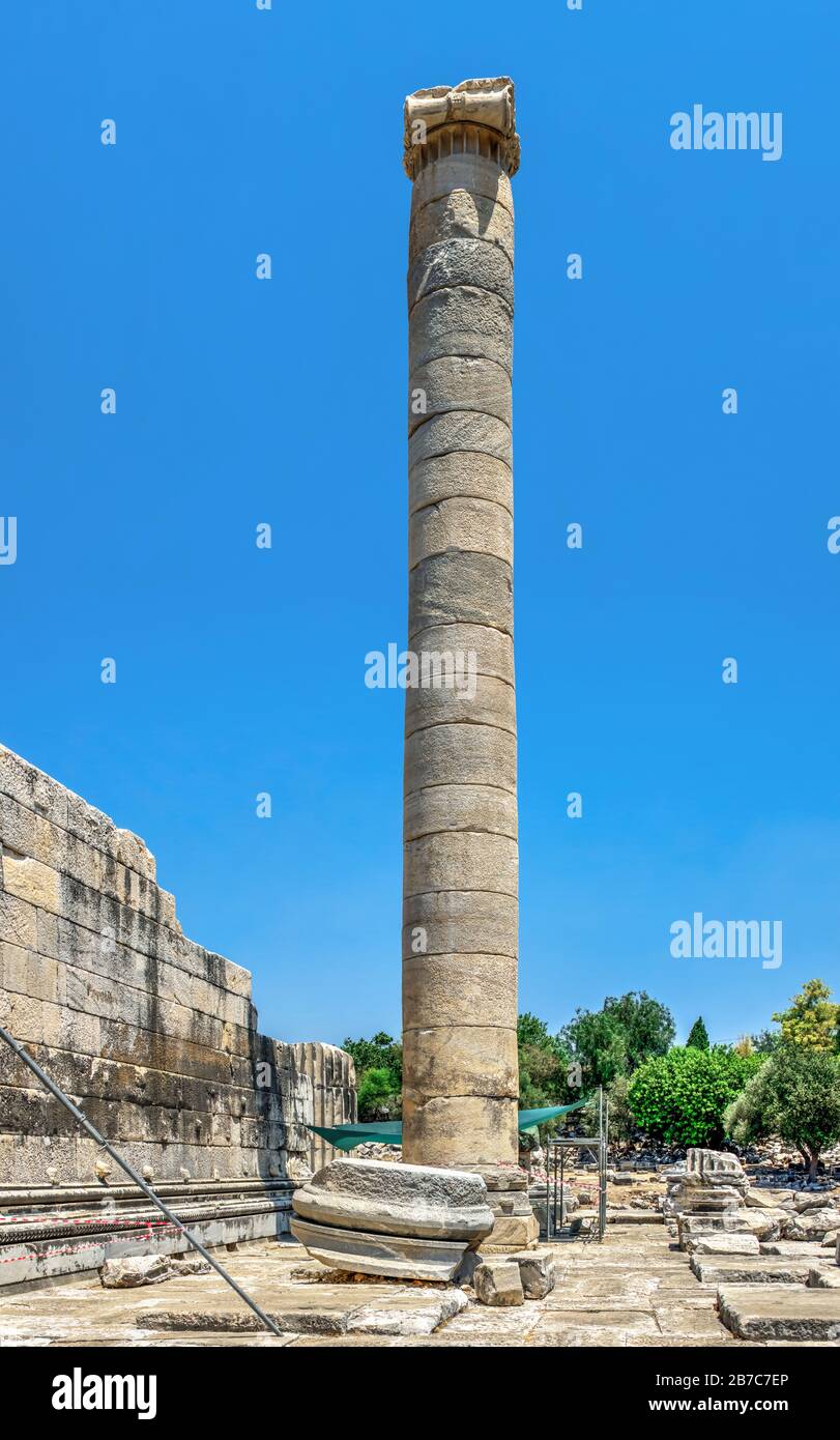 Column in the Temple of Apollo at Didyma, Turkey, on a sunny summer day ...
