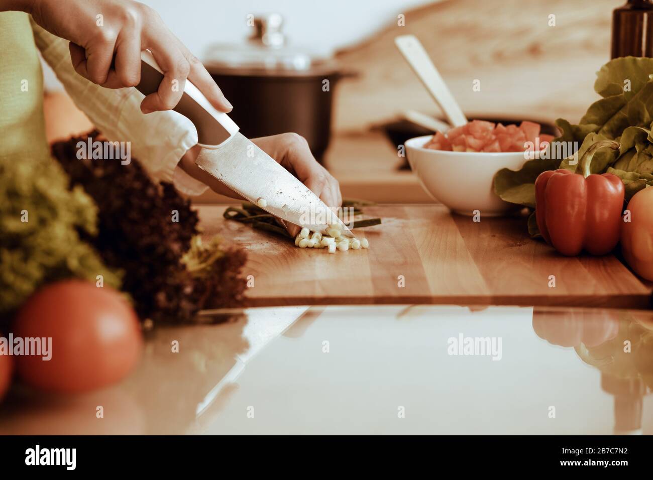 Unknown human hands cooking in kitchen. Woman slicing green onion ...
