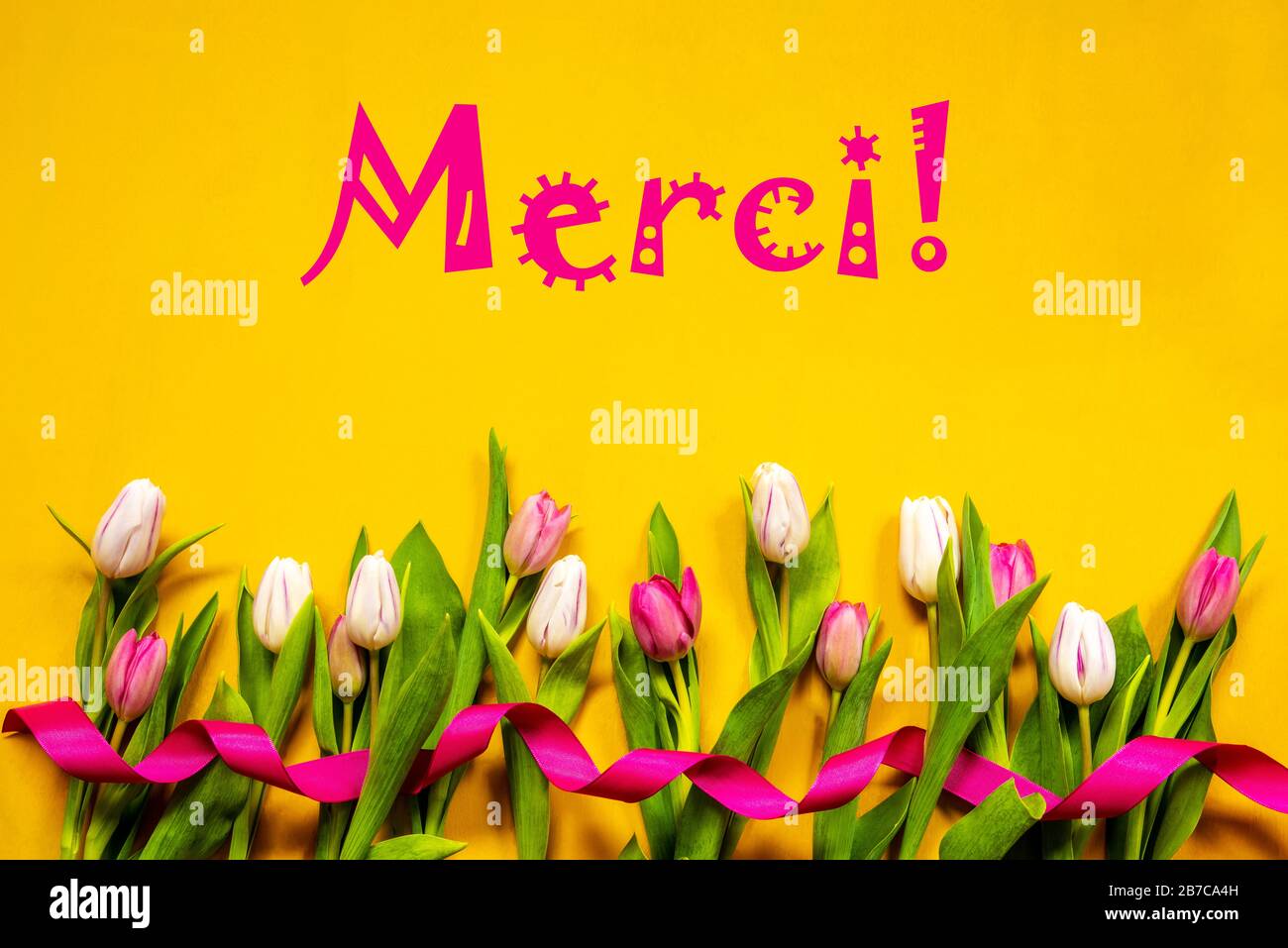 Colorful Tulip, Merci Means Thank You, Ribbon, Yellow Background Stock ...