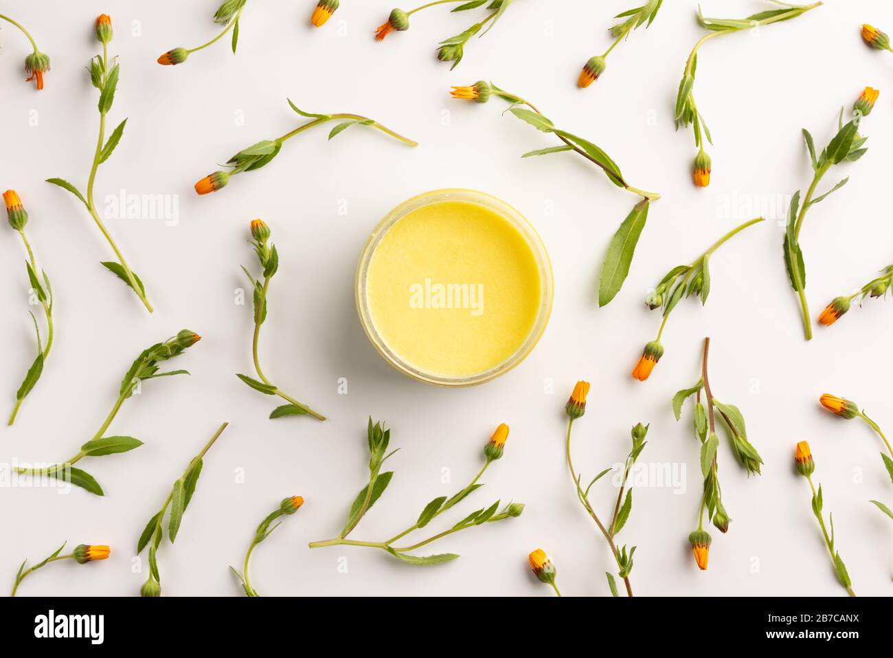 Organic cosmetic concept. Flowers of calendula and cosmetic cream ...