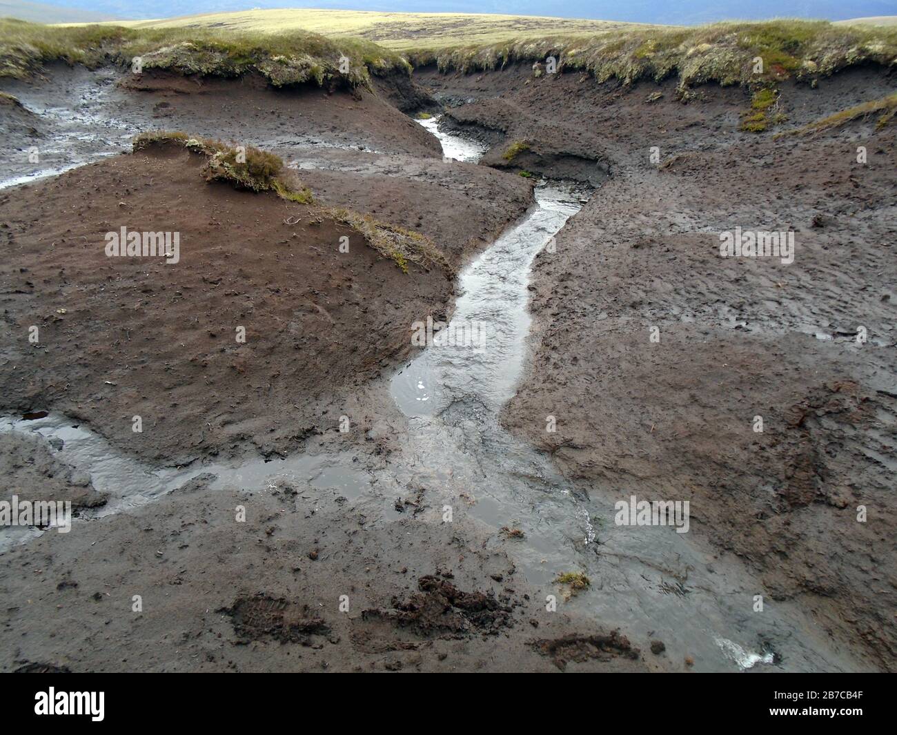 Brown cow hill cairngorms hi-res stock photography and images - Alamy
