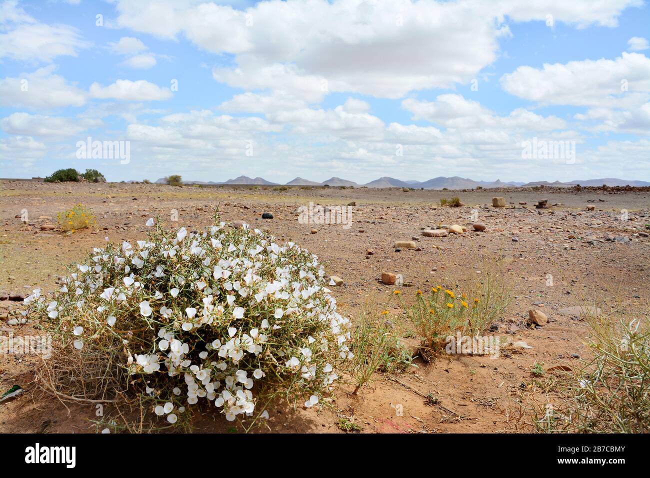 Off africa hi-res stock photography and images - Alamy