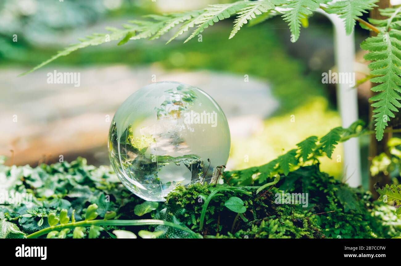Globe glass in grass forest on nature background, Environment Day ...
