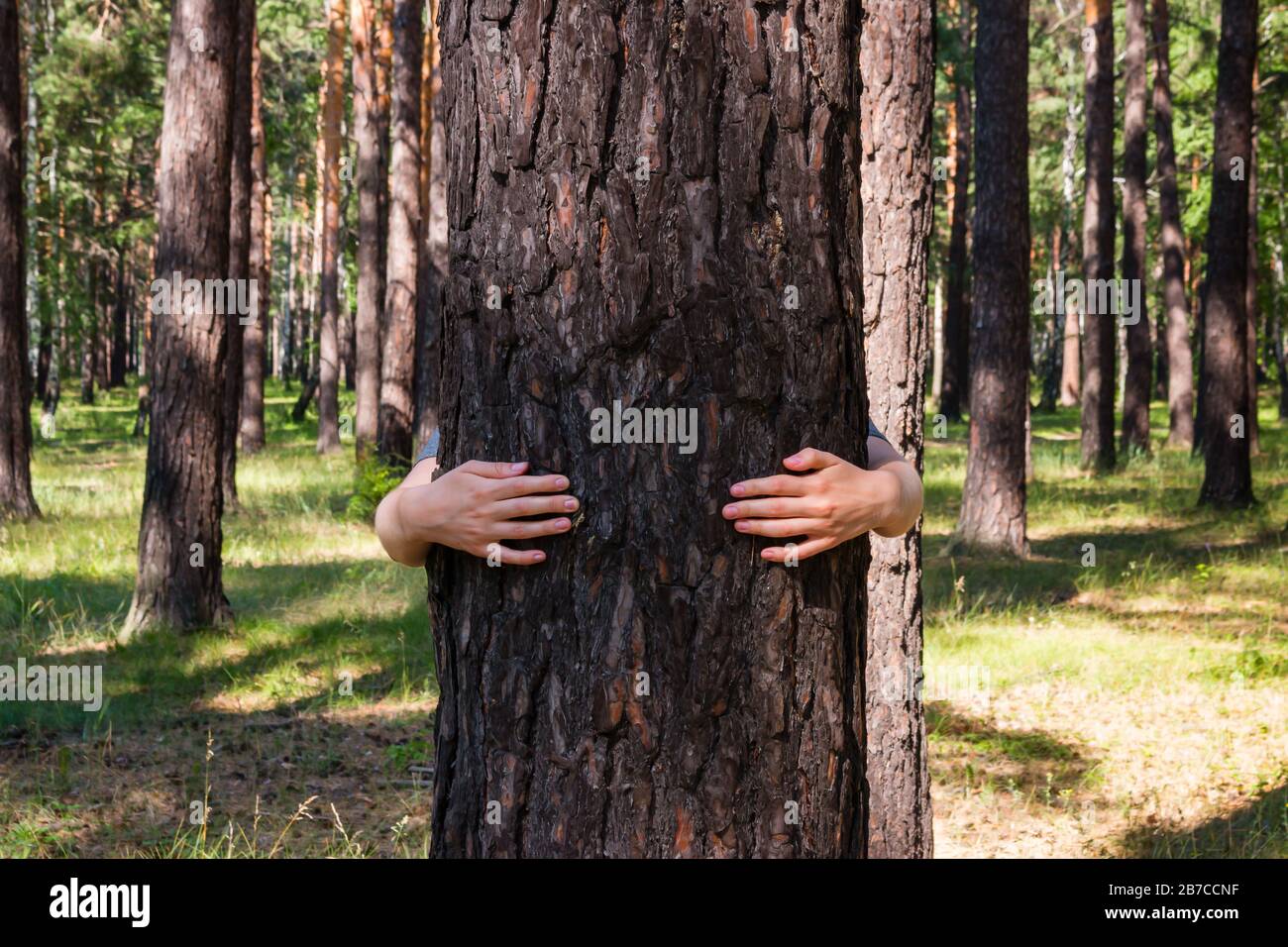 Tree hug heart hi-res stock photography and images - Alamy