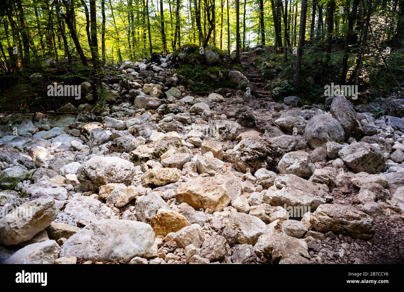 Dried up river full of only rocks in the summer season, Slovenia Stock ...