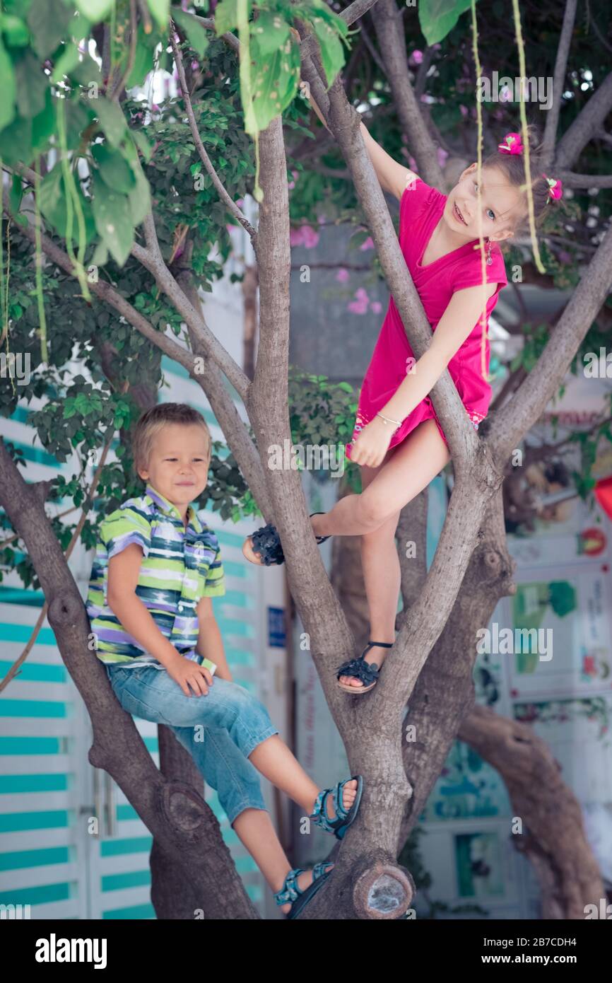 Boy and girl having fun in a tree Stock Photo - Alamy