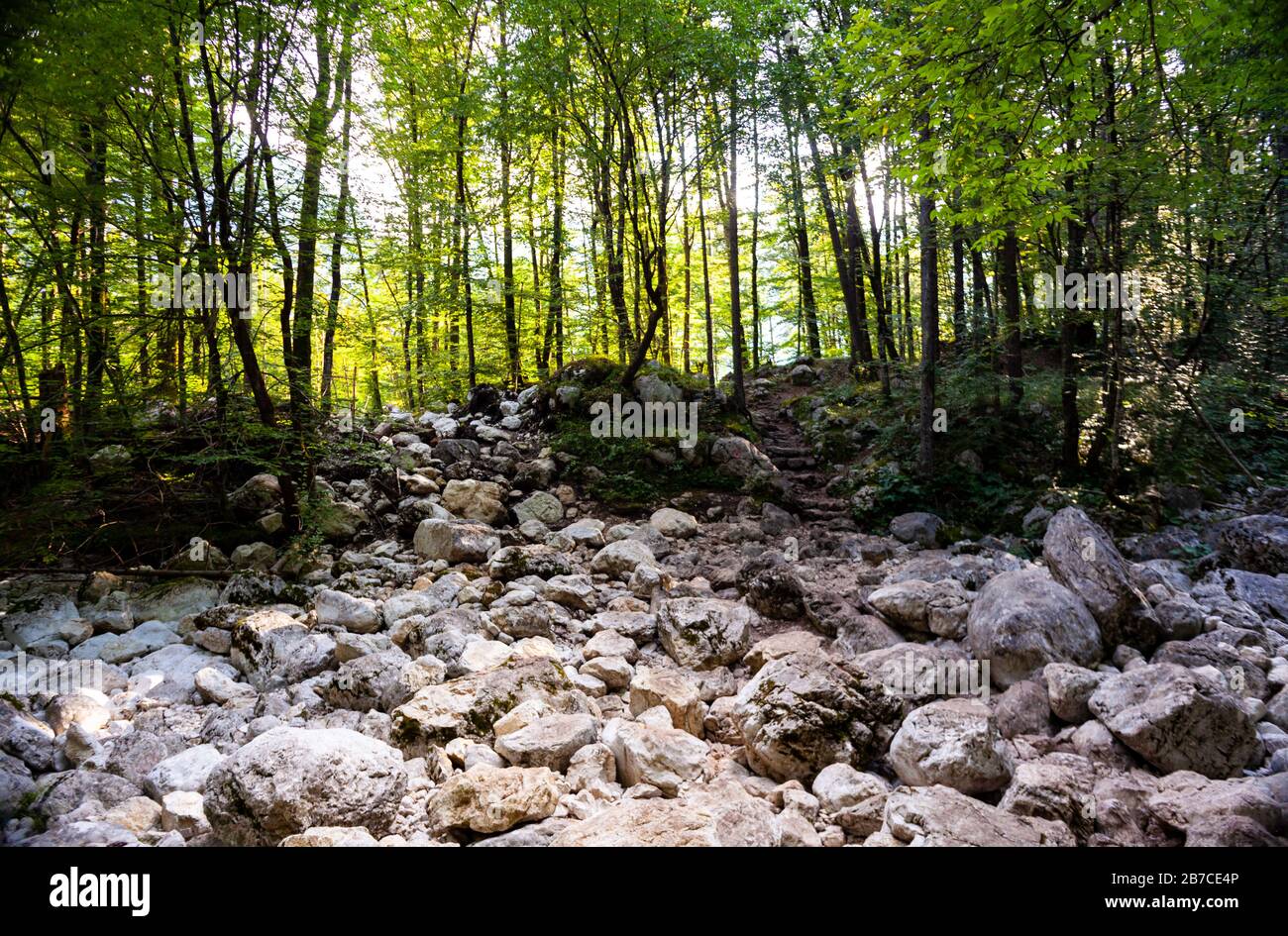 Dried up river full of only rocks in the summer season, Slovenia Stock ...
