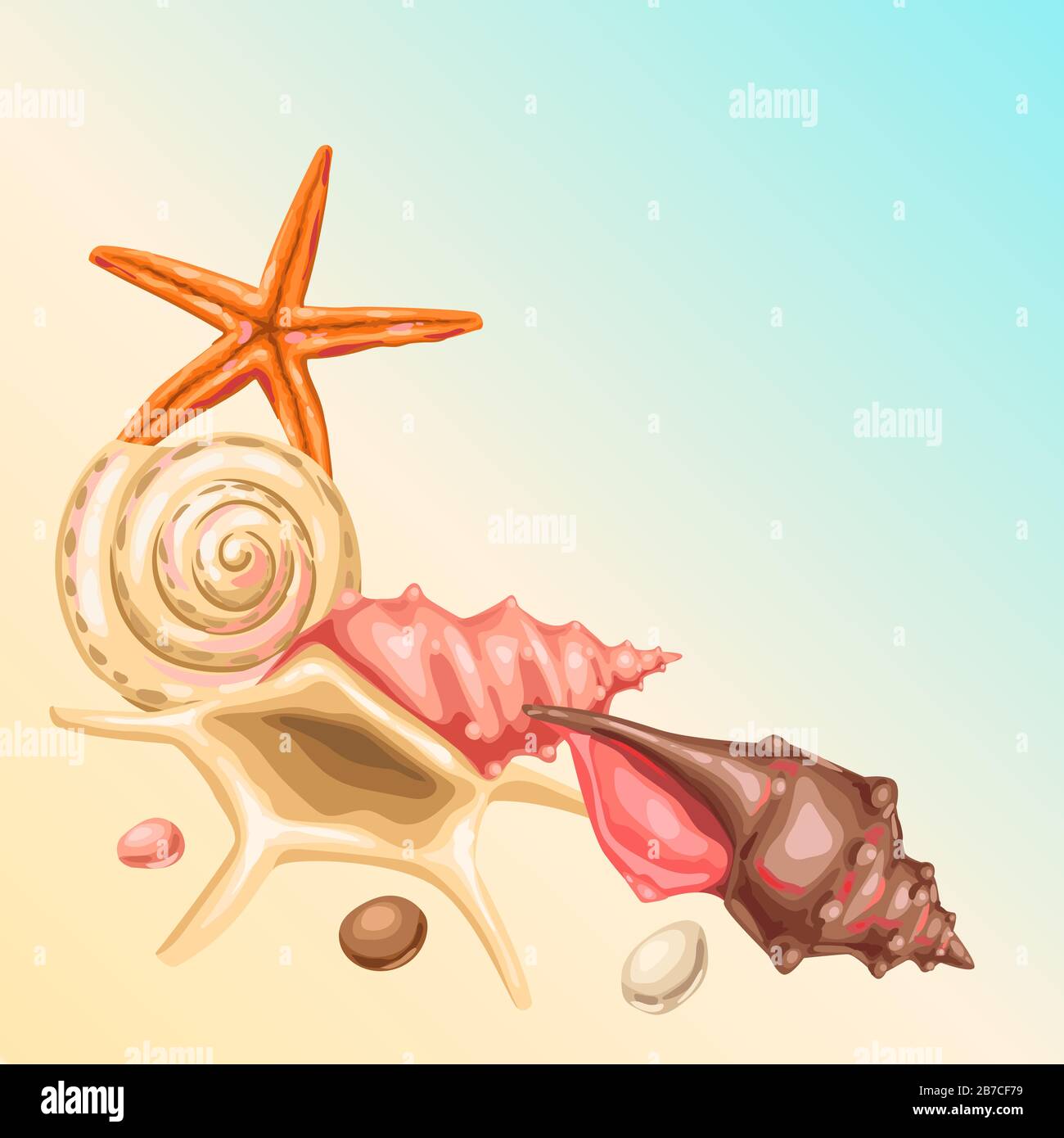 Background with seashells. Tropical underwater mollusk shells Stock ...