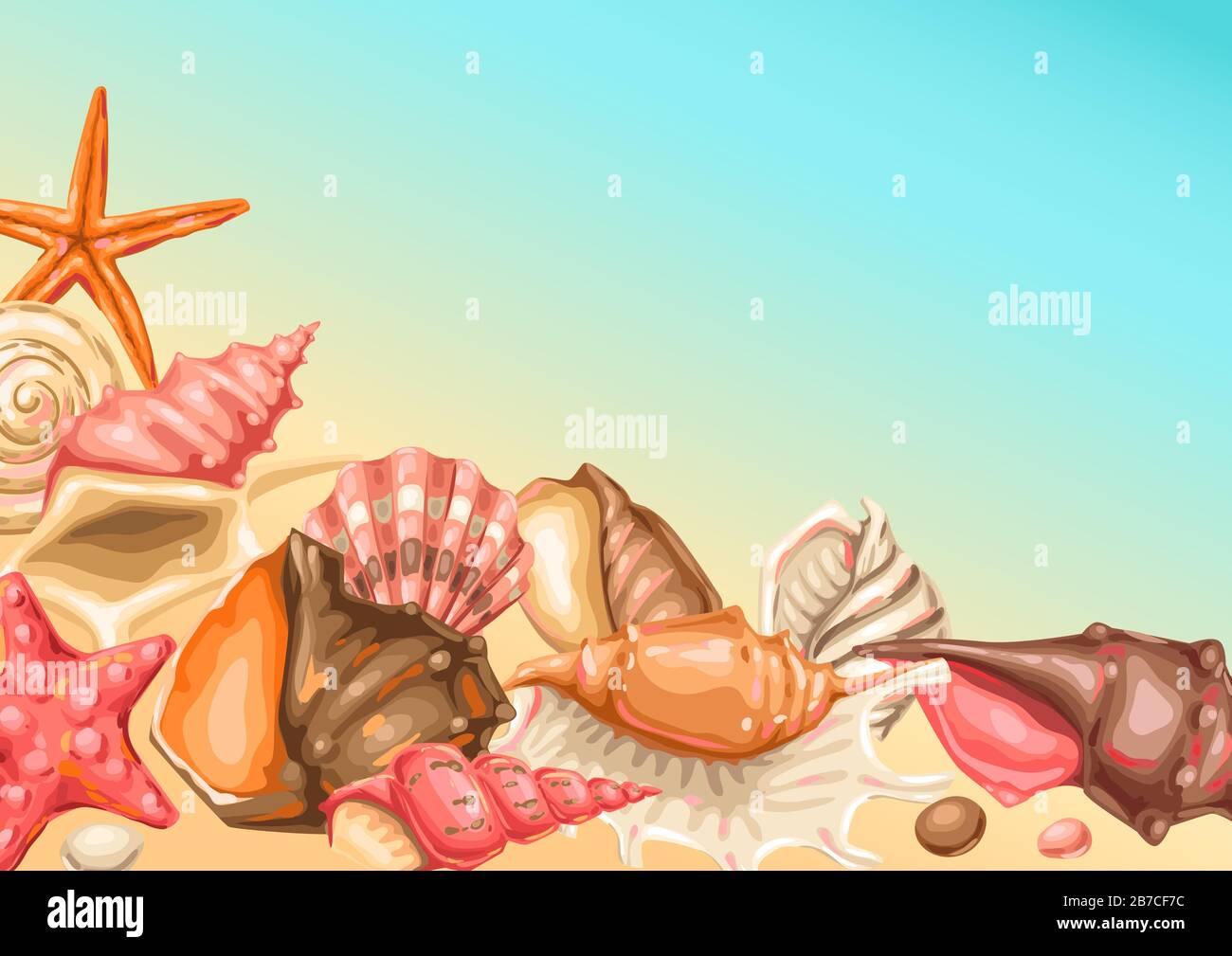Background with seashells. Tropical underwater mollusk shells Stock ...