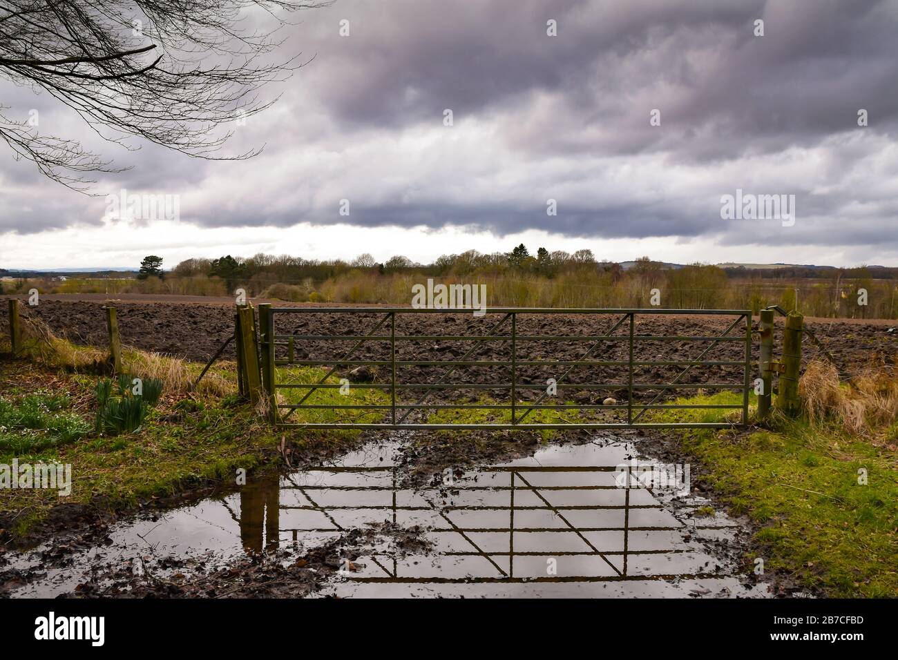 Churned mud gate hi-res stock photography and images - Alamy