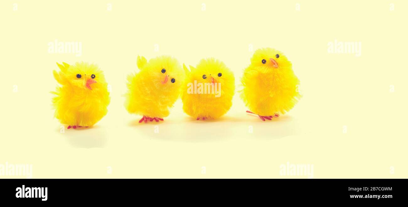 Easter chickens hi-res stock photography and images - Alamy