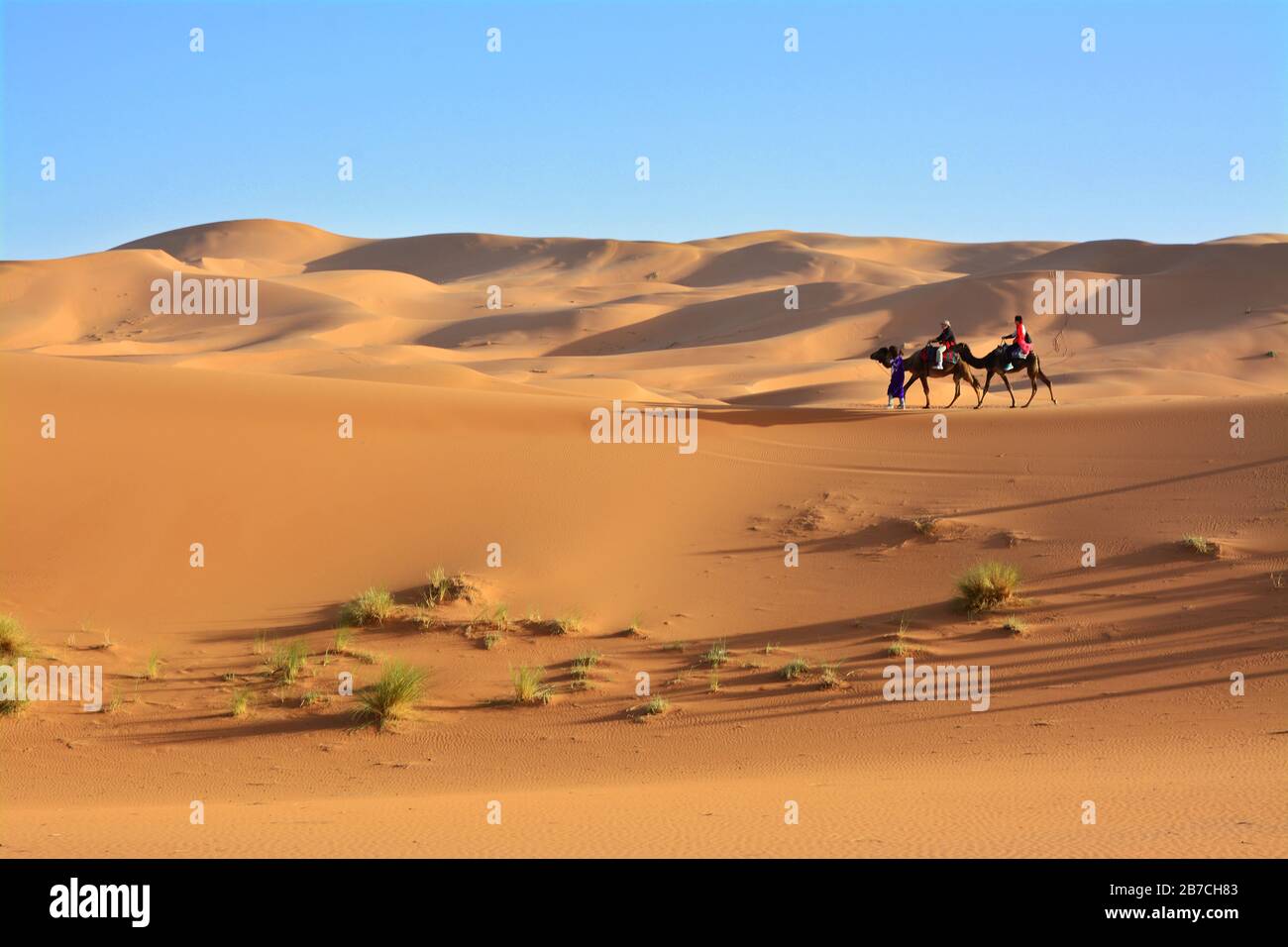 Sahara desert people hi-res stock photography and images - Alamy