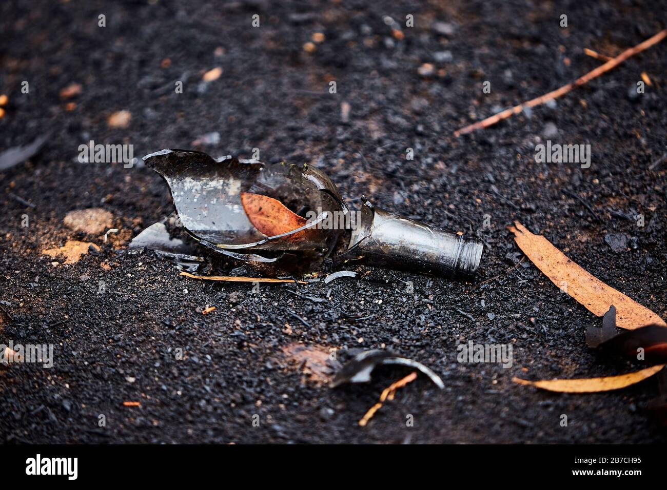 After the 2020 Bushfires - Burnt Beer Bottles Stock Photo - Alamy