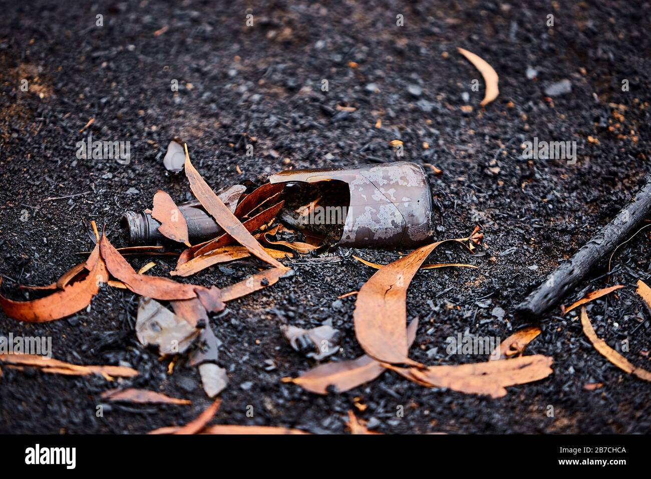 After the 2020 Bushfires - Burnt Beer Bottles Stock Photo - Alamy