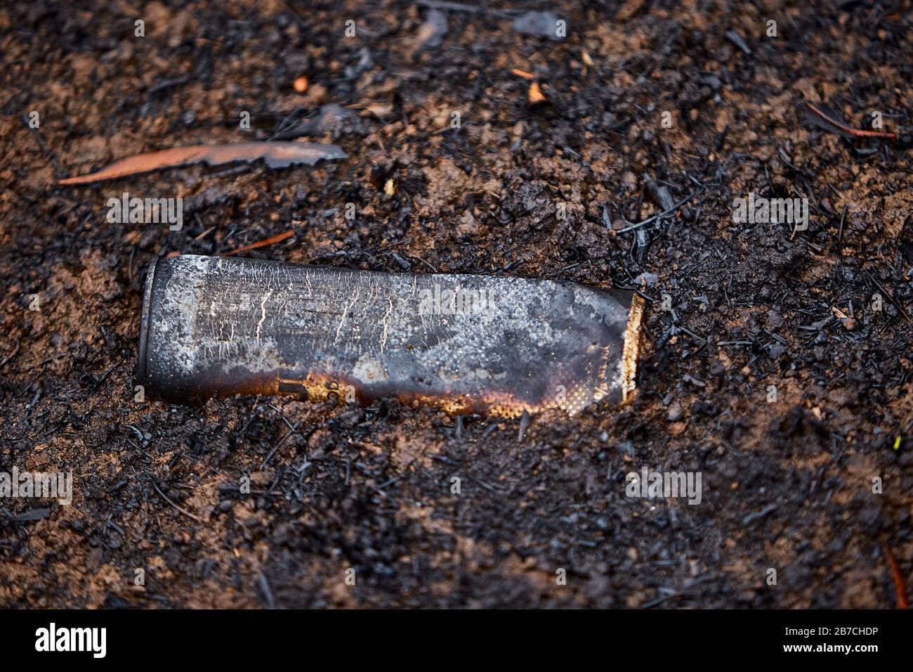 Bushfire remnants hi-res stock photography and images - Alamy