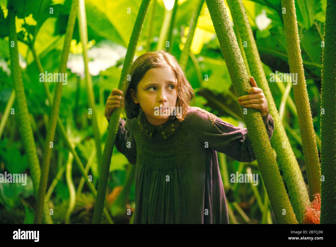 THE SECRET GARDEN (2020), directed by MARC MUNDEN. Credit: HEYDAYFILMS ...