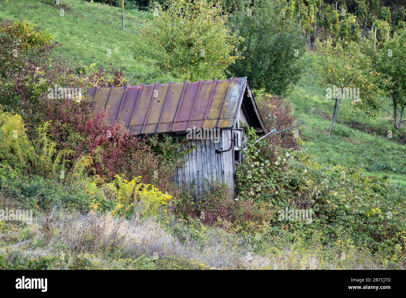 Rusty corrugated roof farmhouse hi-res stock photography and images - Alamy