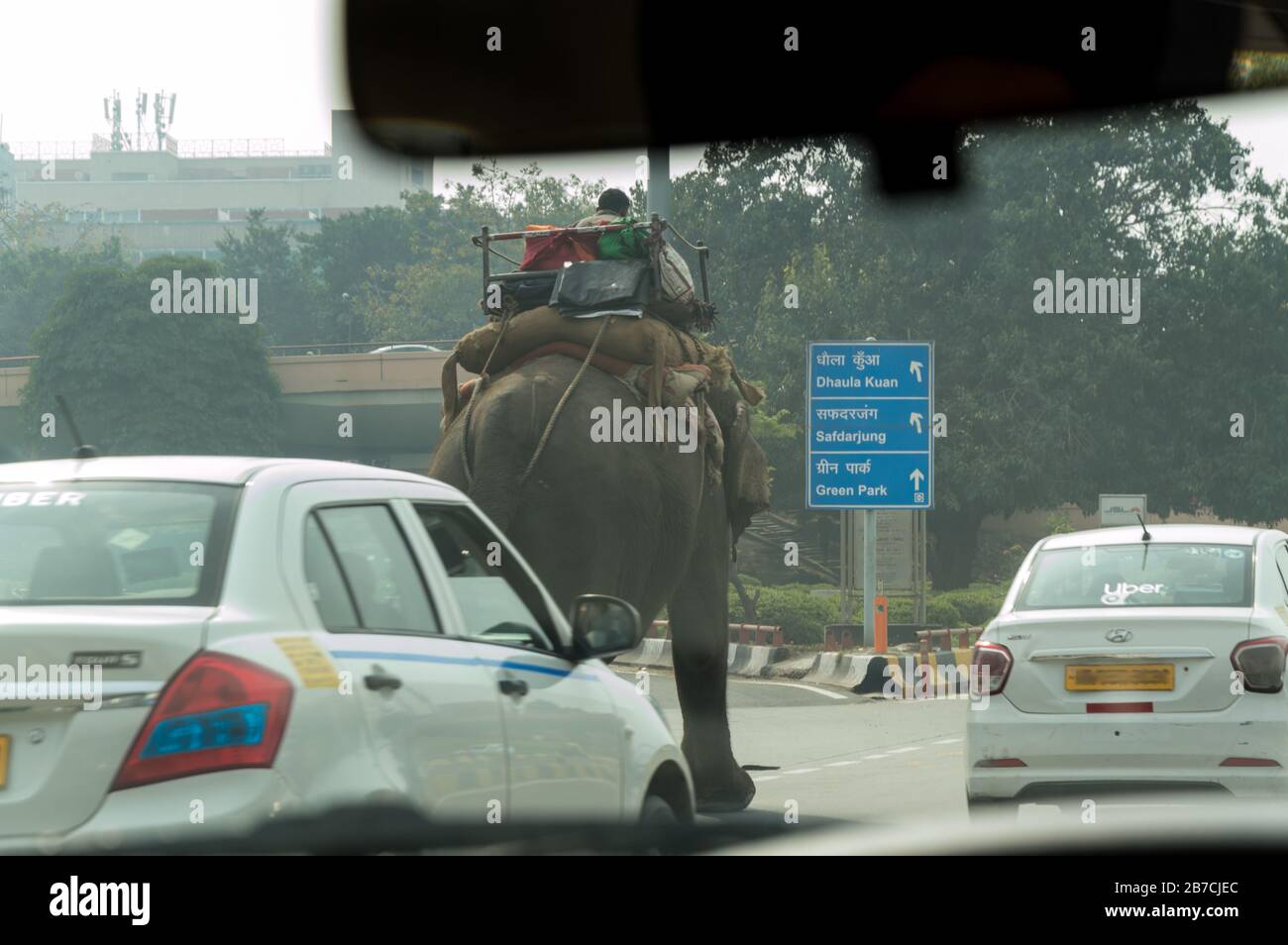 riding elephant in indian traffic Stock Photo - Alamy