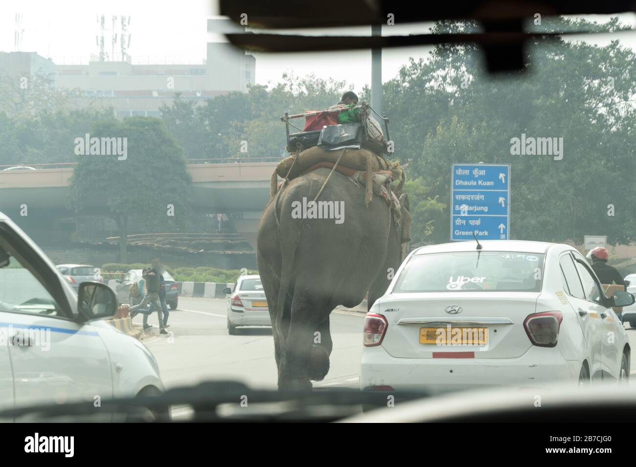riding elephant in indian traffic Stock Photo - Alamy