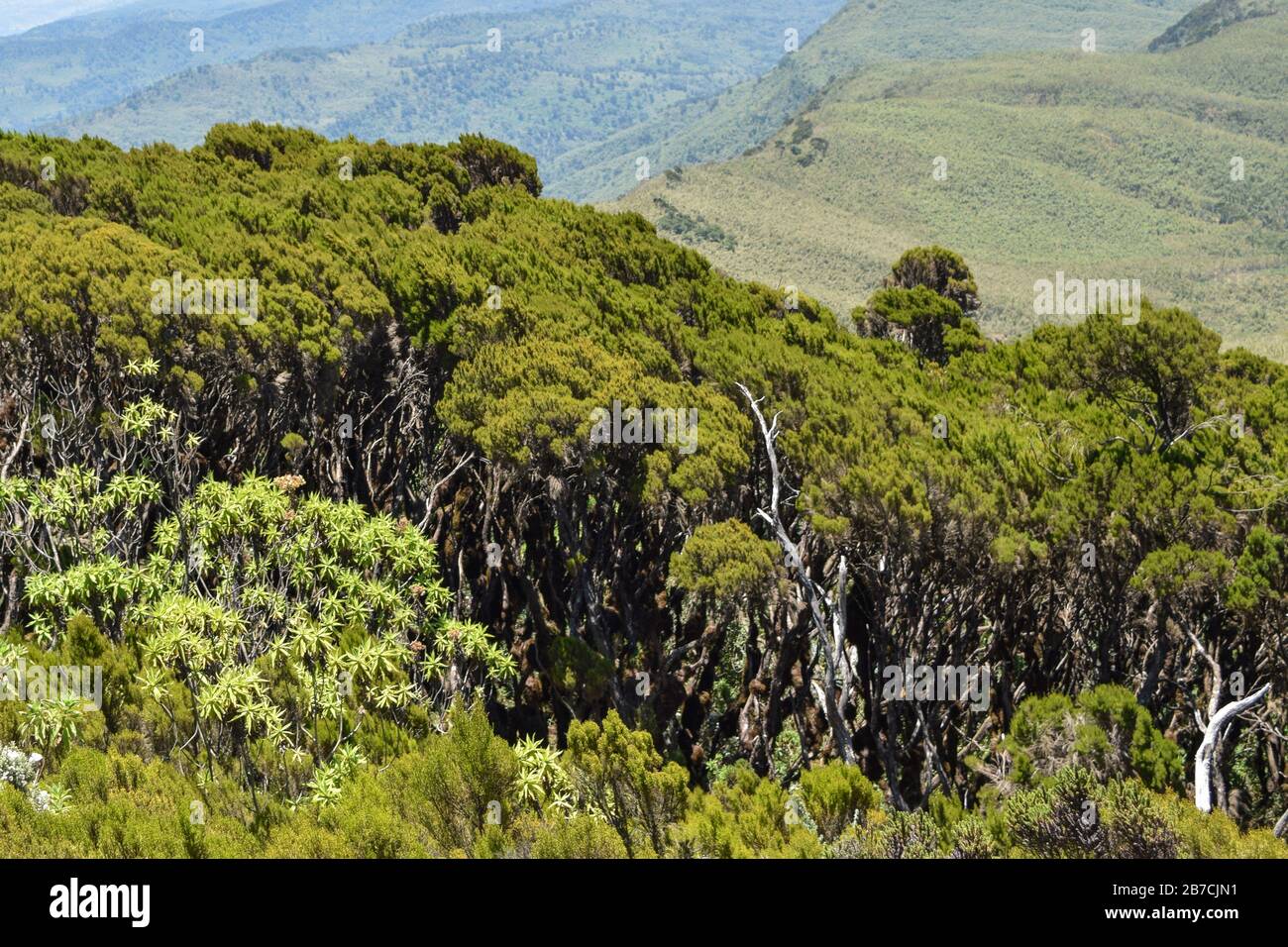 Aberdare ranges aerial hi-res stock photography and images - Alamy