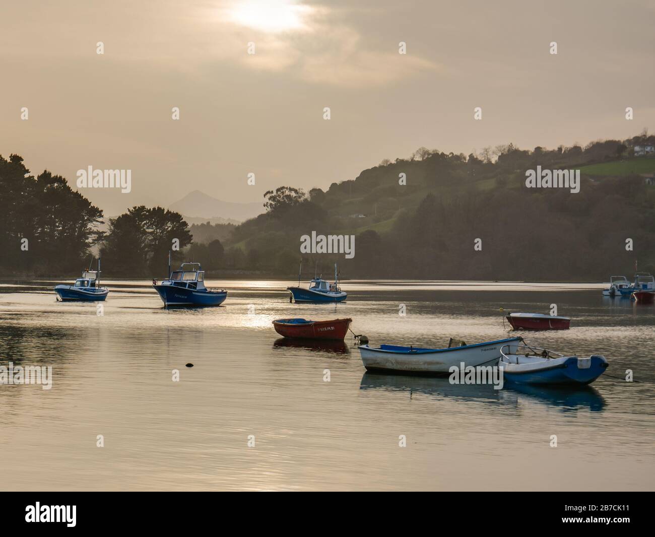 View over Brazo Mayor river and the Pombo tidal marsh, in San Vicente ...