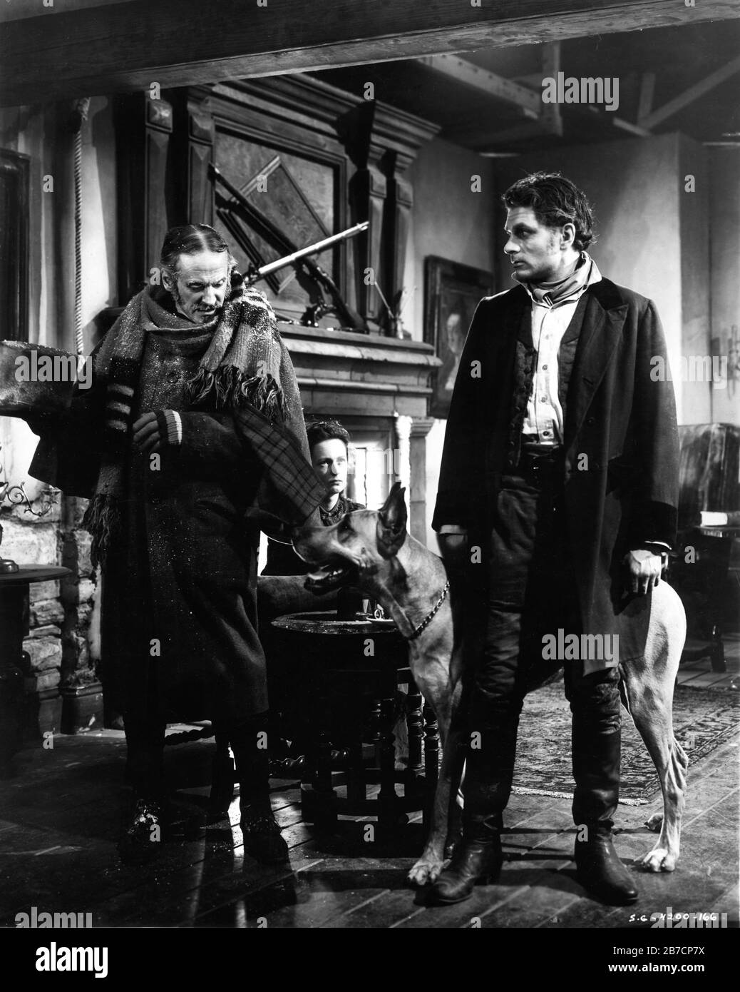 Emily bronte dog hi-res stock photography and images - Alamy