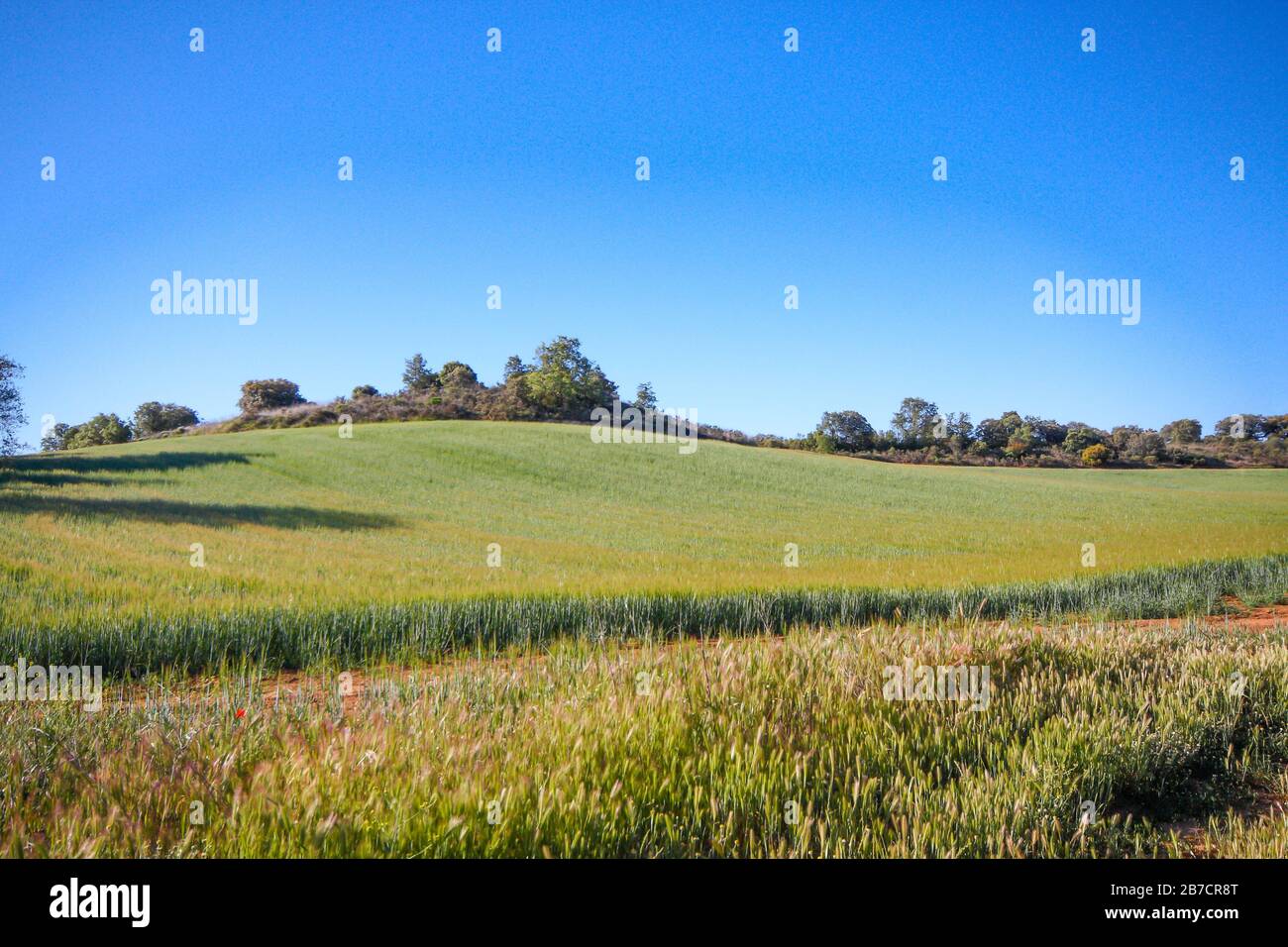 scenes in a rural landscape Stock Photo - Alamy