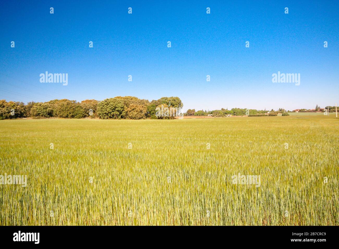 scenes in a rural landscape Stock Photo - Alamy