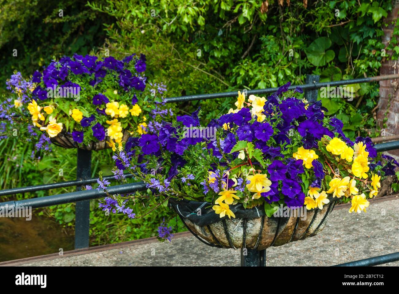Britain in Bloom Competition at East Budleigh Stock Photo - Alamy