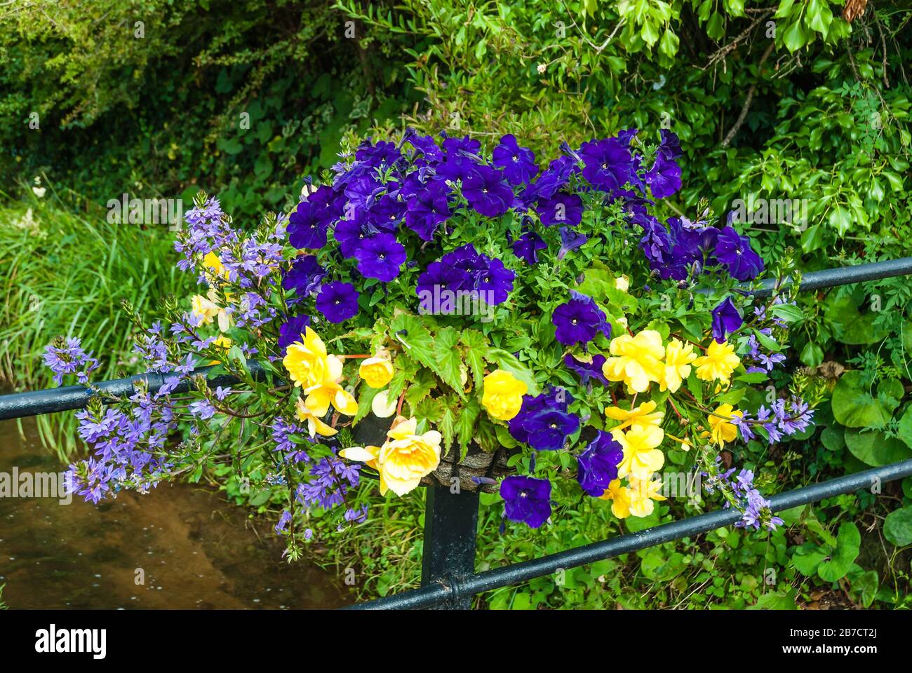 Britain in Bloom Competition at East Budleigh Stock Photo - Alamy