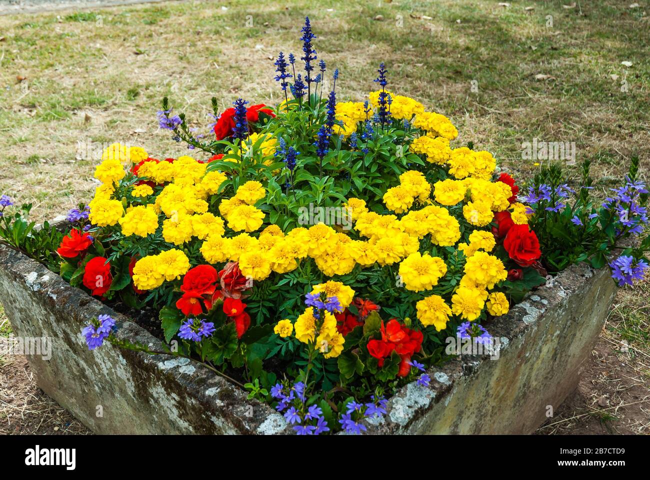 Britain in Bloom Competition at East Budleigh Stock Photo - Alamy