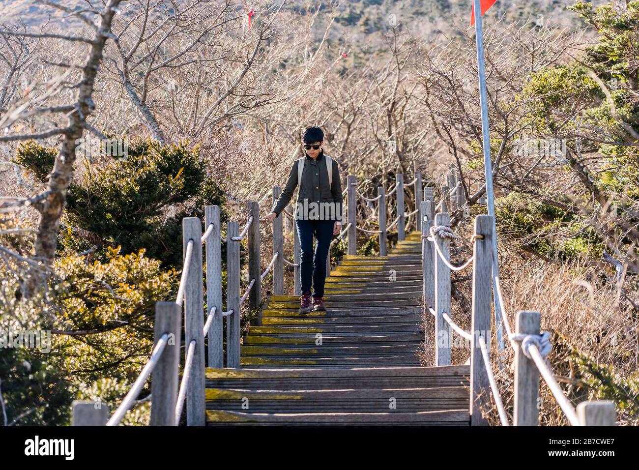 Woman walking down pathway hi-res stock photography and images - Alamy