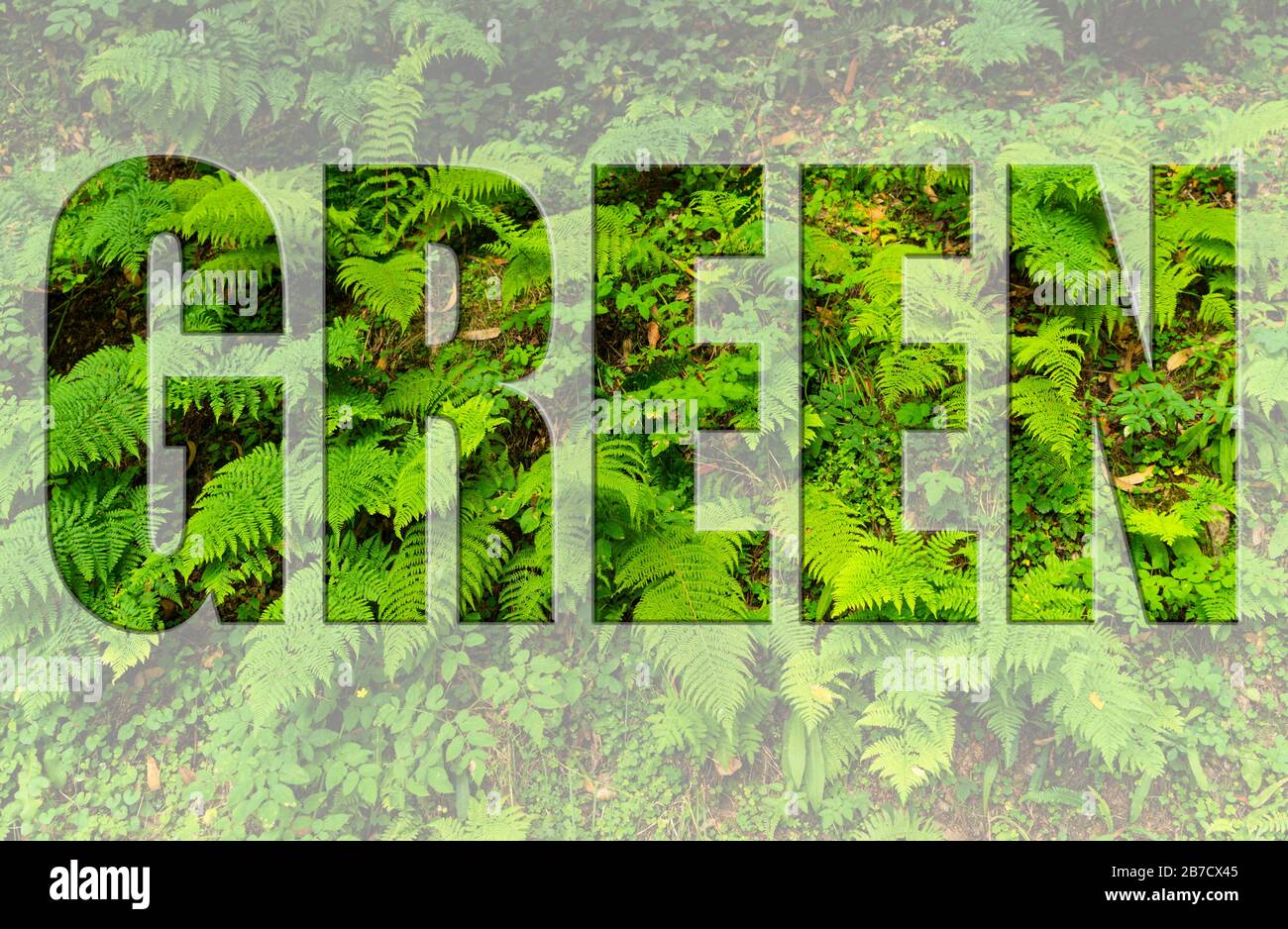 Vegetable background of ferns and plants with the green word written in ...