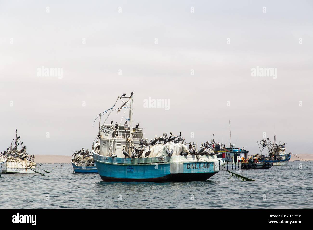 Fishing boats in Paracas, Peru Stock Photo - Alamy
