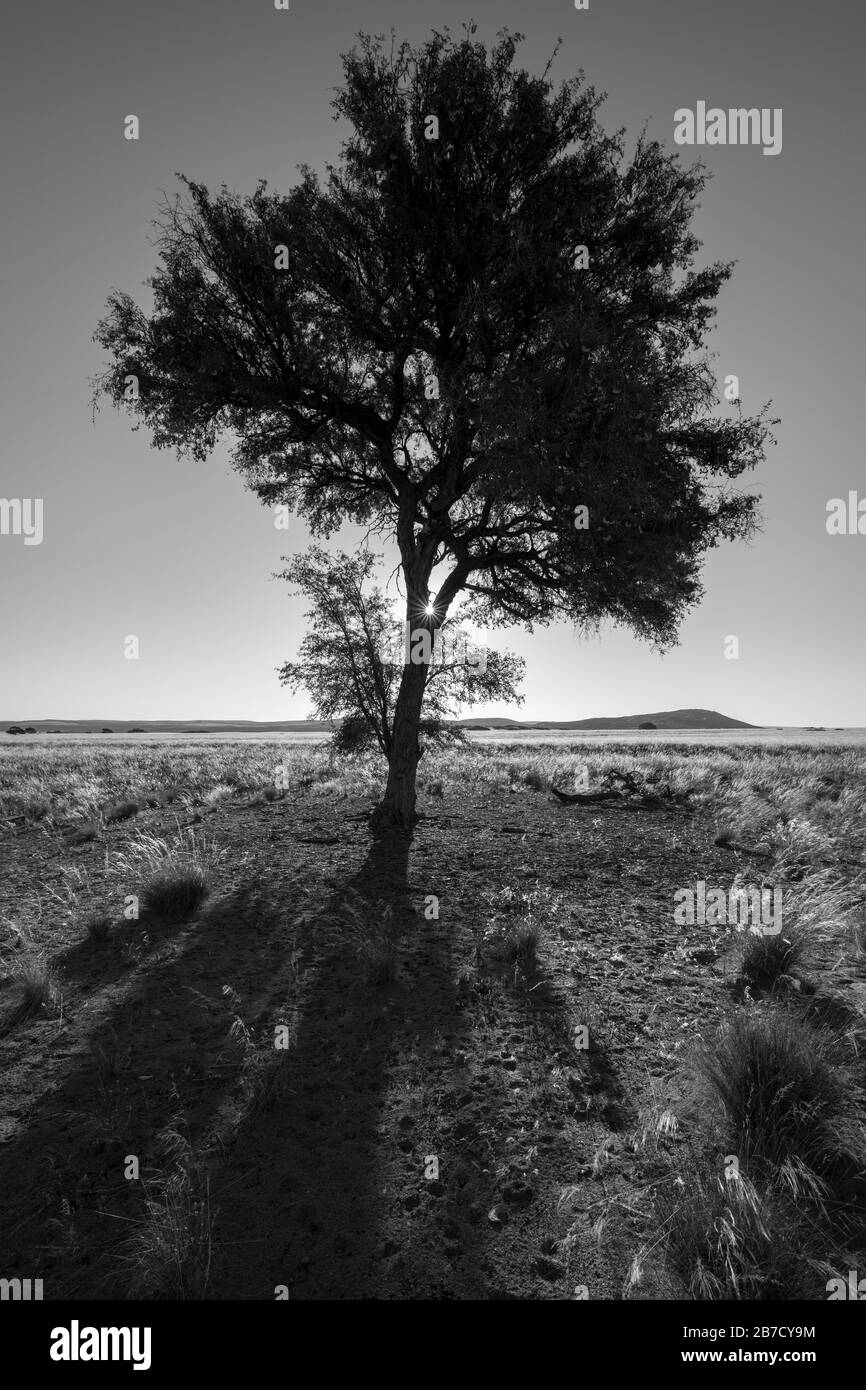 Horizontal light flare glow Black and White Stock Photos & Images - Alamy