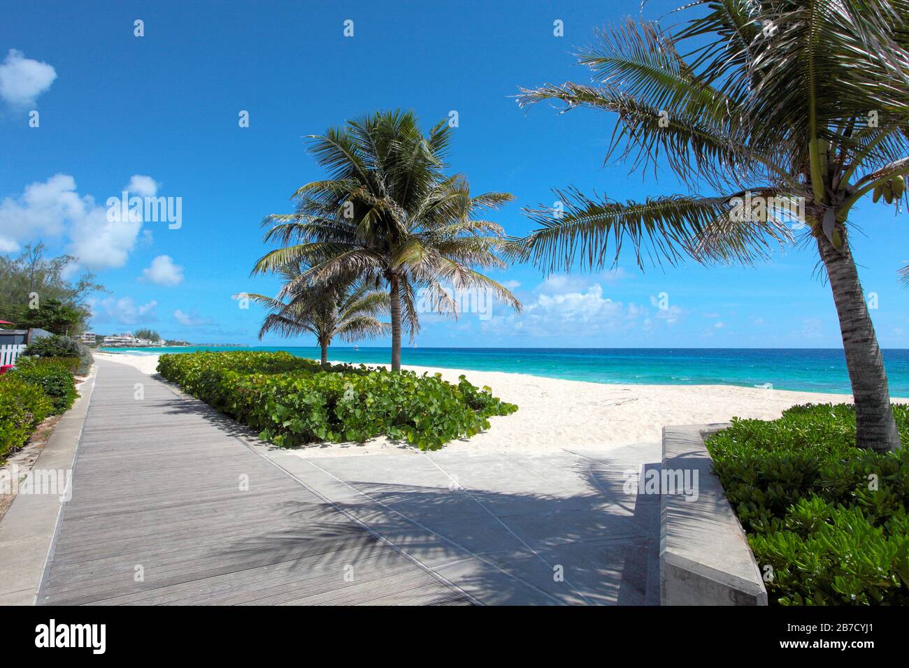 Barbados reef hi-res stock photography and images - Alamy