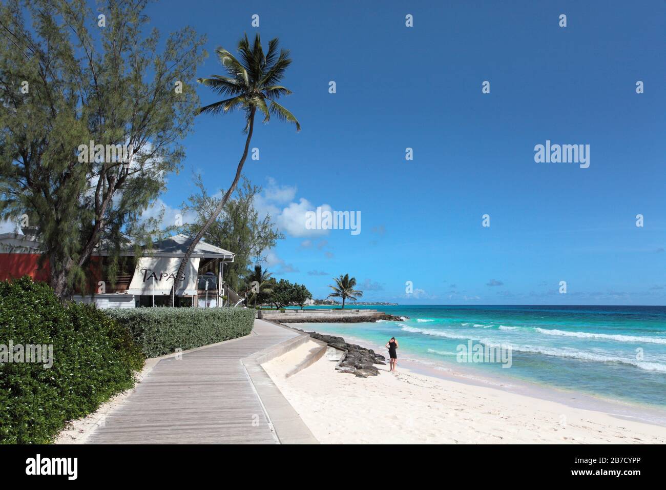 Barbados reef hi-res stock photography and images - Alamy