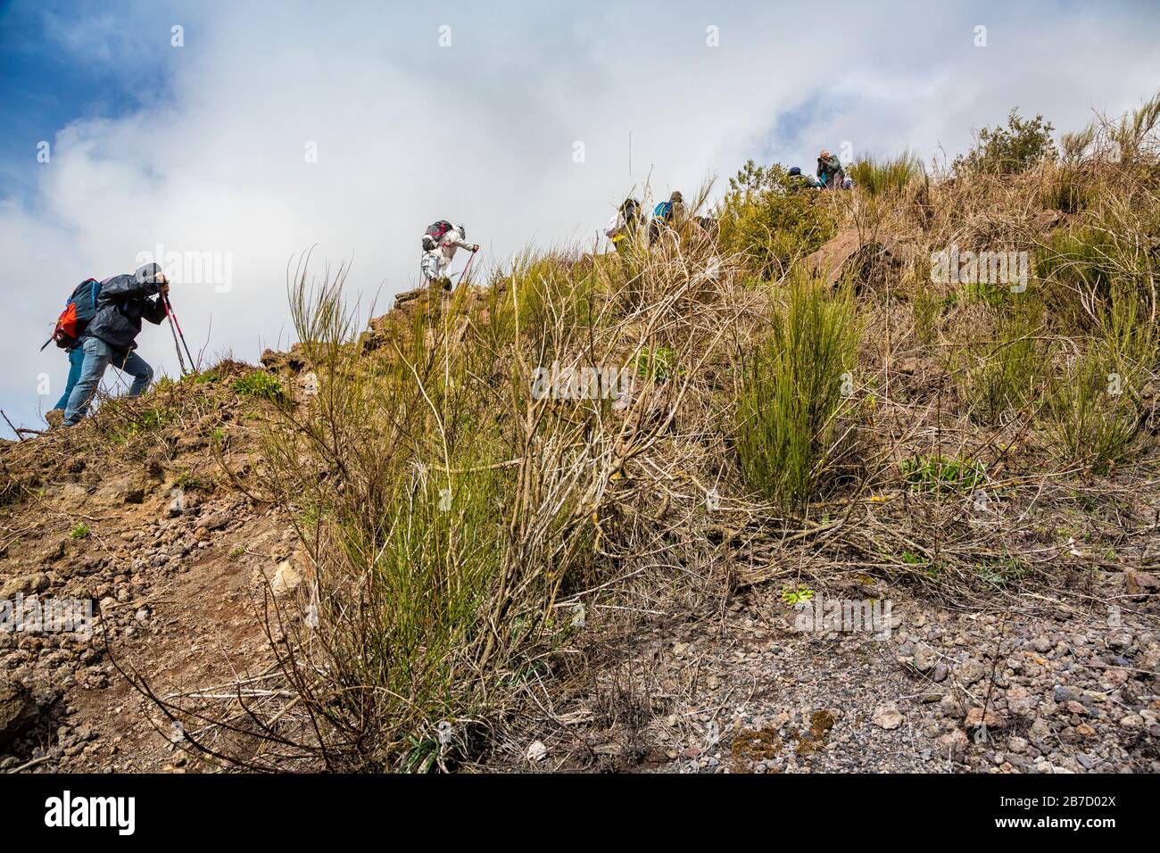 Monte Somma, Naples (Italy) - This trekking route is a challenging ...