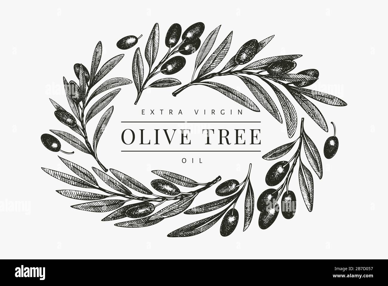 Olive branch design template. Hand drawn vector food illustration ...