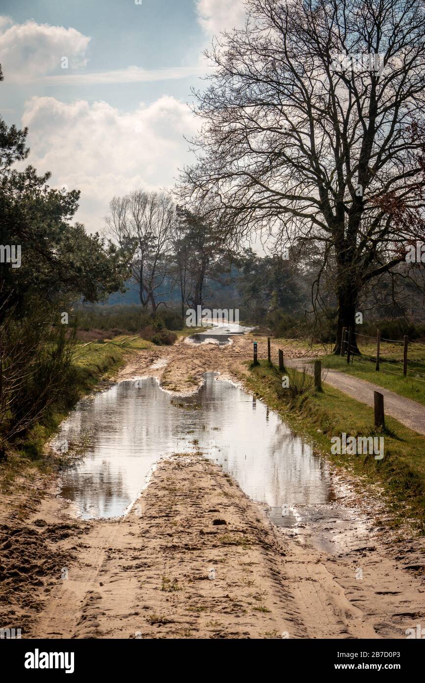 Flooded land and puddles on the muddy trails after a wet rainy winter ...