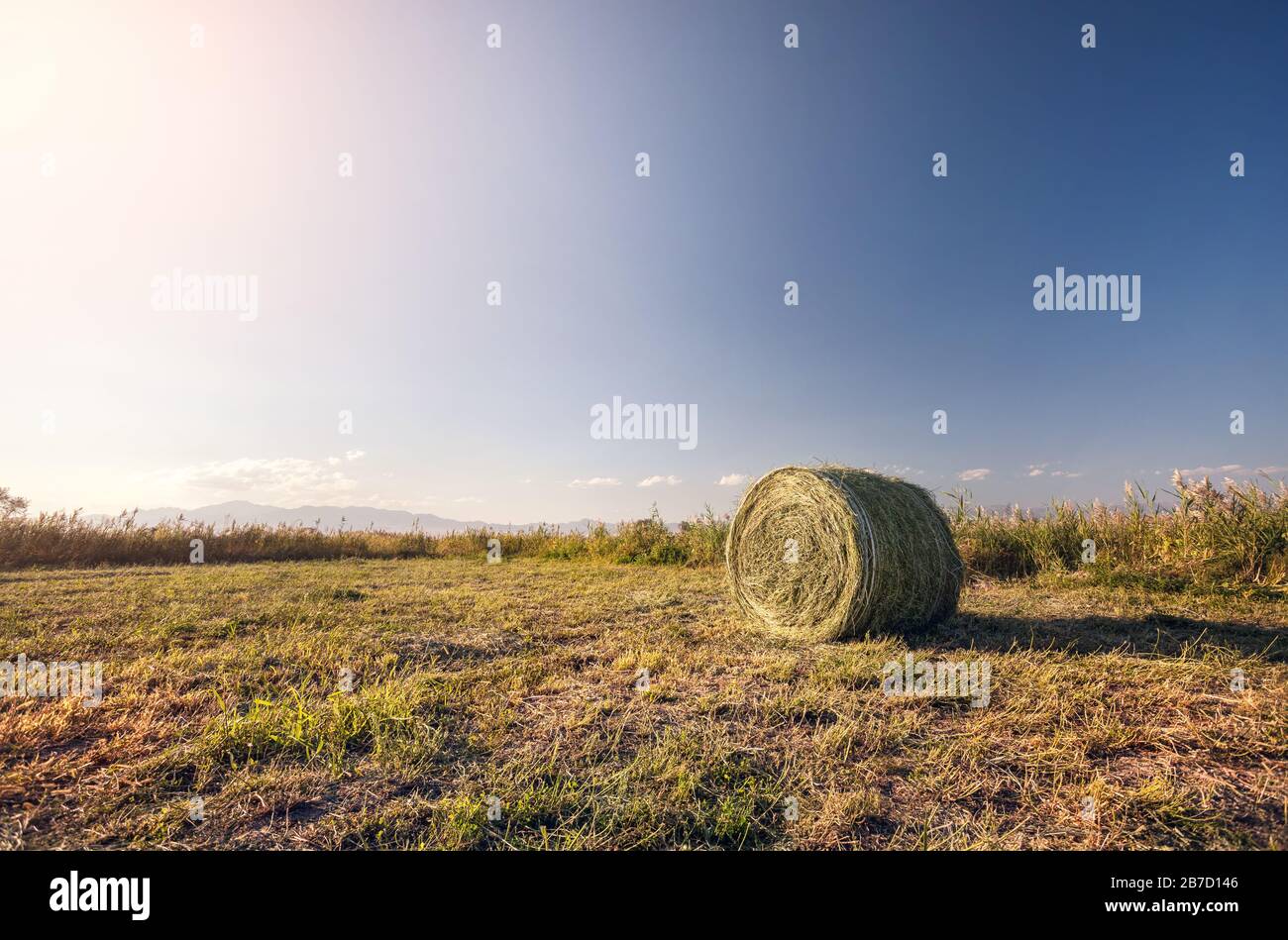 Hay roll hi-res stock photography and images - Alamy