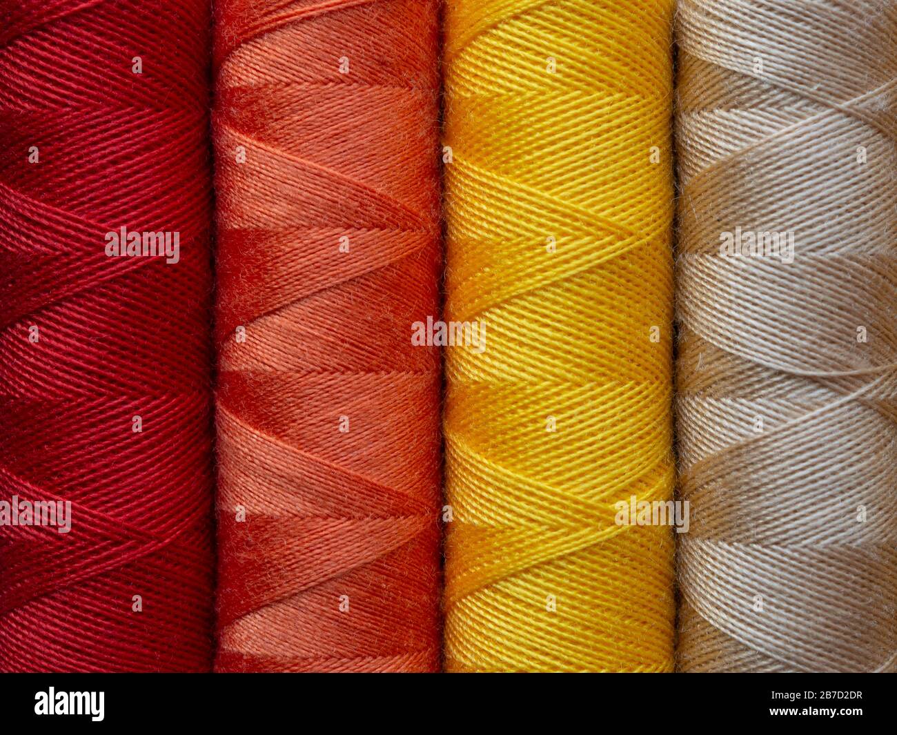 Set of multi-hue thread bobbins. An idea for a colorful background ...