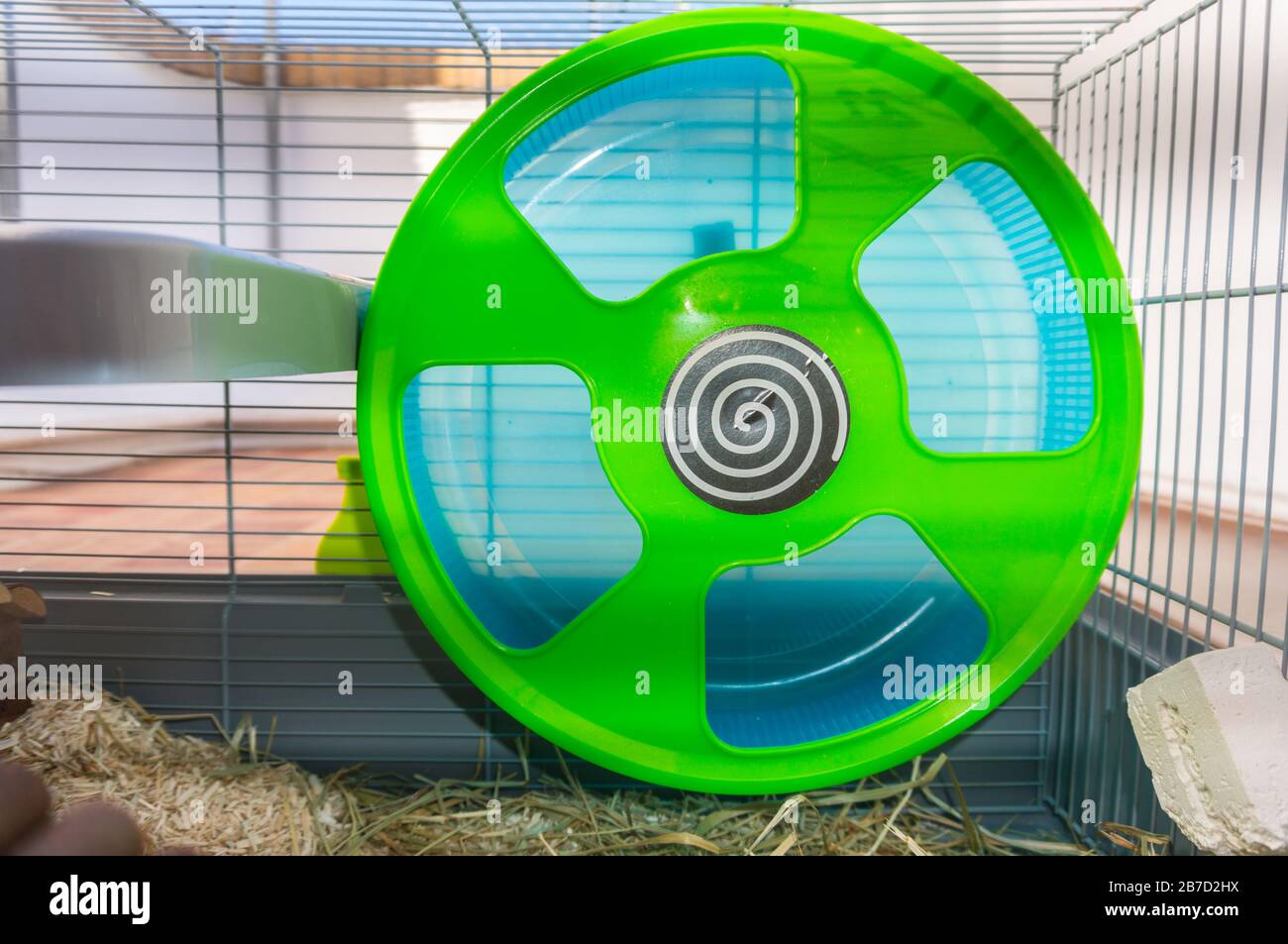 Hamster wheel in a cage Stock Photo - Alamy