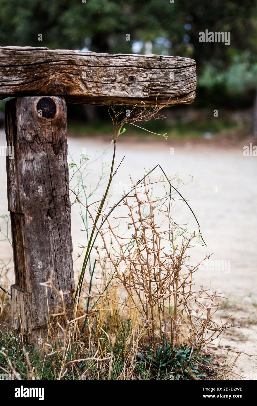 Wooden railing in the country with wild plants Stock Photo - Alamy