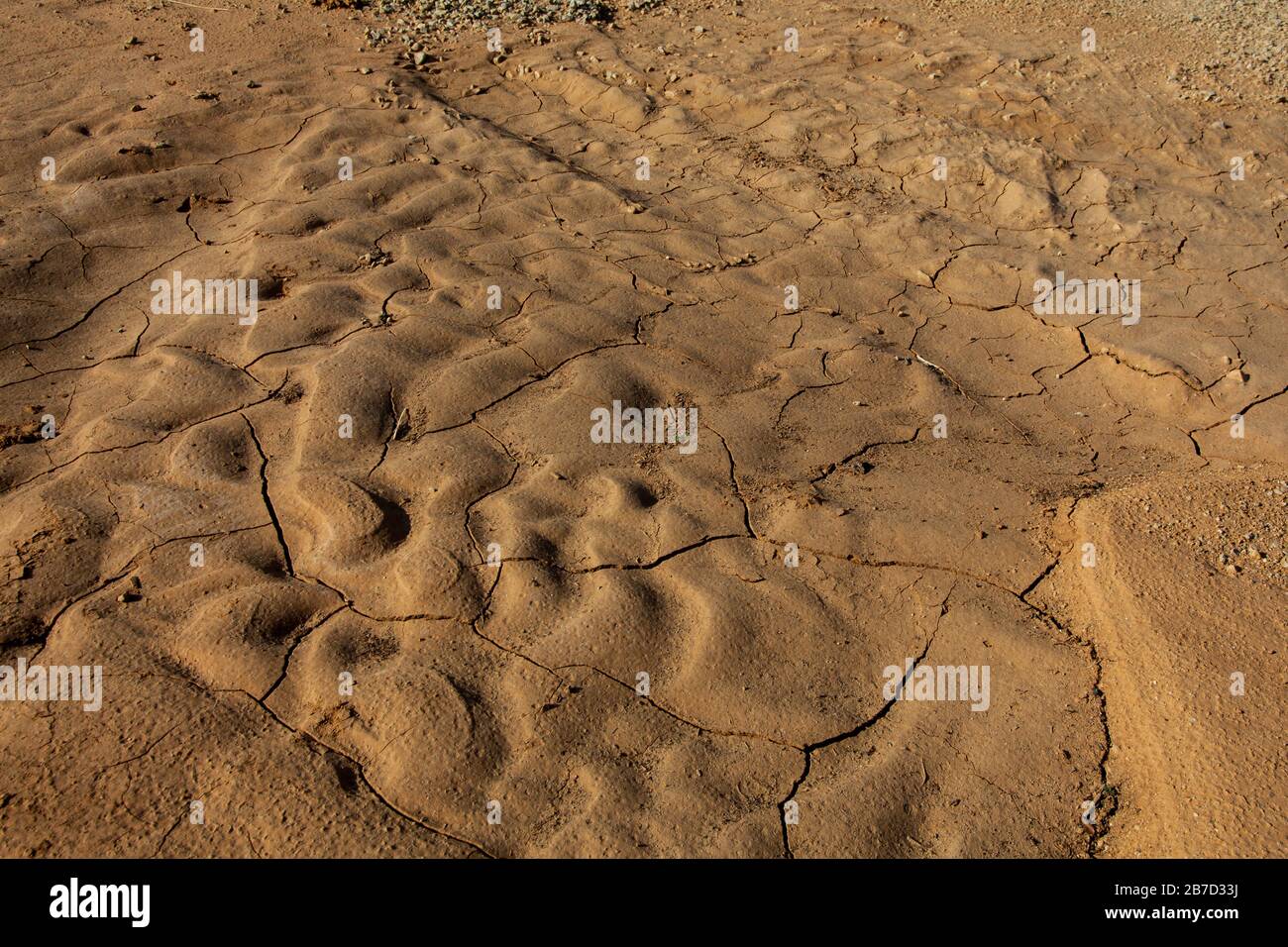 Desert puddle dry ground with cracks like dunes and rocks Stock Photo ...