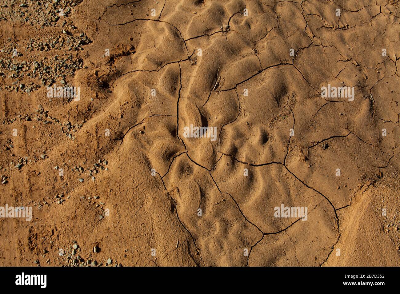 Thirst desert hi-res stock photography and images - Alamy